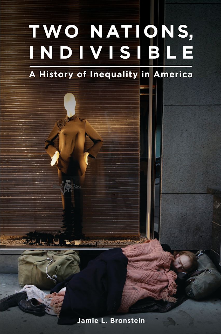 Two Nations, Indivisible: A History of Inequality in America: Jamie L ...