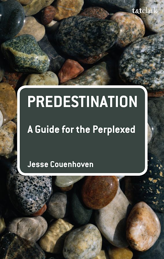 Predestination: A Guide for the Perplexed: : Guides for the Perplexed ...