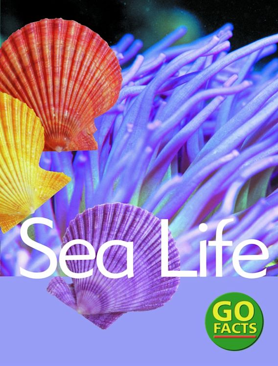Sea Life: : Go Facts: Oceans Katy Pike A&C Black Childrens & Educational