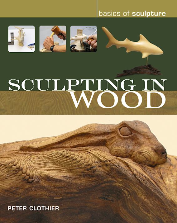 Sculpting in Wood: : Basics of Sculpture Peter Clothier A&C Black ...