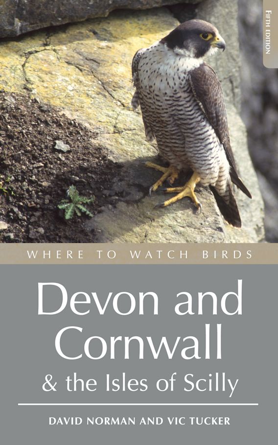 Where to Watch Birds in Devon and Cornwall: Including the Isles of ...