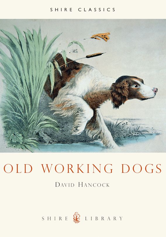 Old Working Dogs: : Shire Library David Hancock Shire Publications