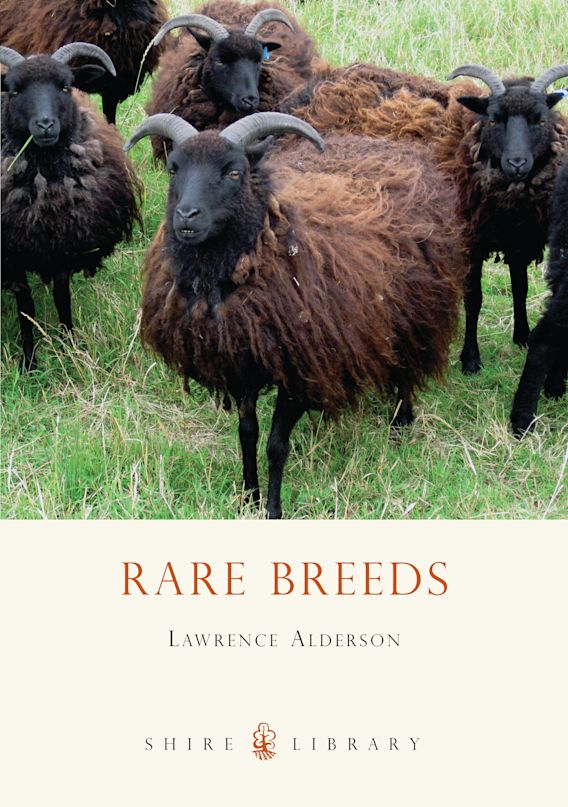 Rare Breeds: : Shire Library Lawrence Alderson Shire Publications