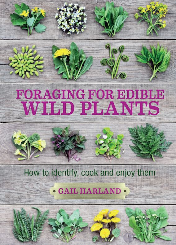 Foraging for Edible Wild Plants: How to identify, cook and enjoy them ...