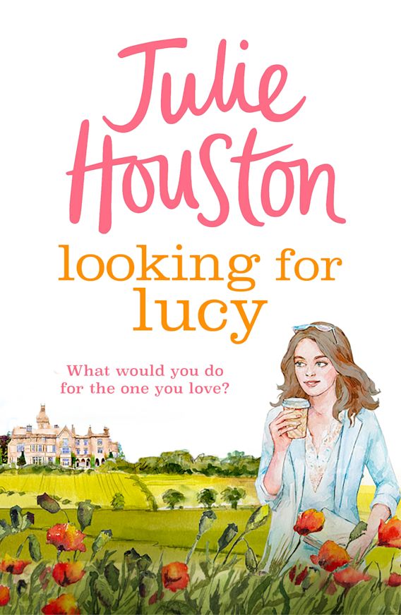 Looking For Lucy: A gorgeously heartwarming summer page-turner from the ...