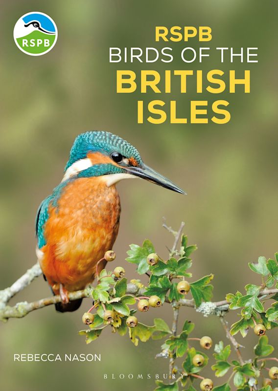 RSPB Birds of the British Isles: : RSPB Rebecca Nason Bloomsbury Wildlife