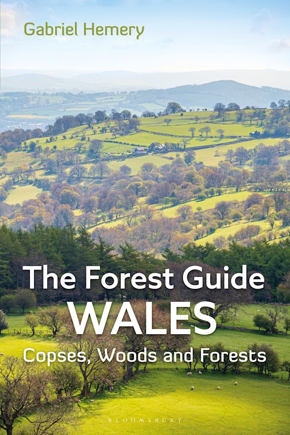 The Forest Guide: Wales: Copses, Woods and Forests of Wales: Forest ...