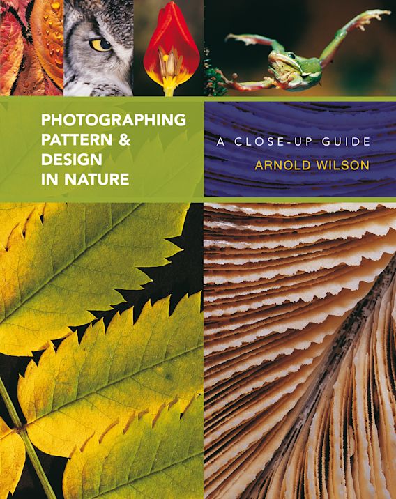 Photographing Pattern & Design in Nature: A Close-up Guide: Arnold ...