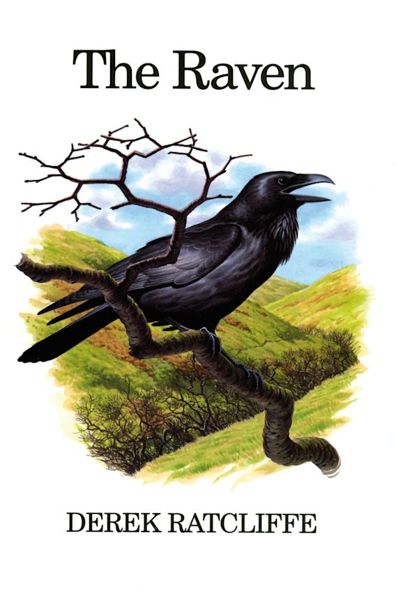 The Raven: : Poyser Monographs Derek Ratcliffe T & AD Poyser