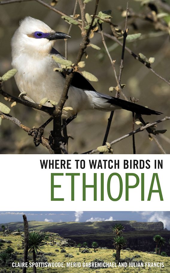 Where to Watch Birds in Ethiopia: : Where to Watch Birds Claire ...