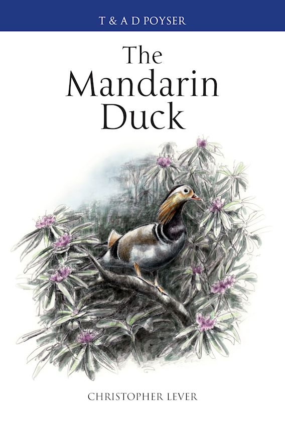 The Mandarin Duck: : Poyser Monographs Christopher Lever T & AD Poyser