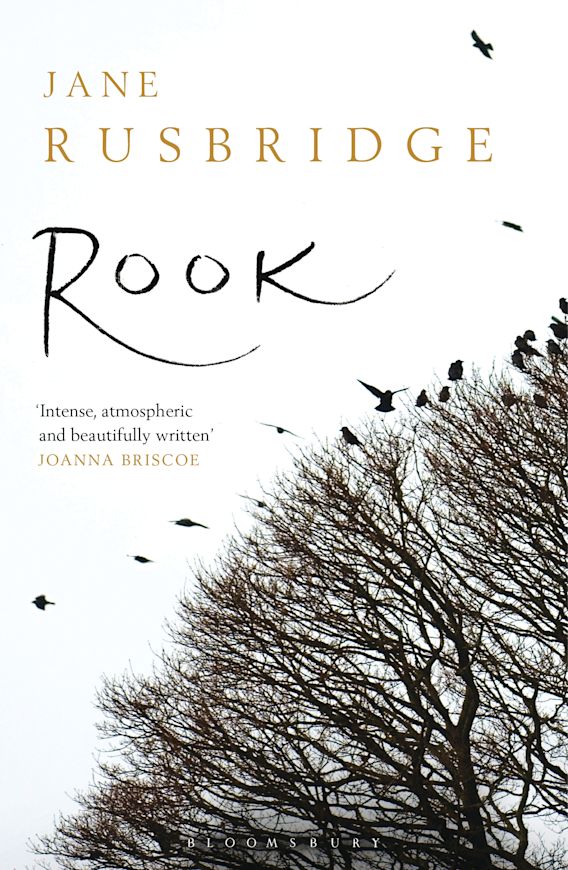 Rook: : Jane Rusbridge: Bloomsbury Publishing