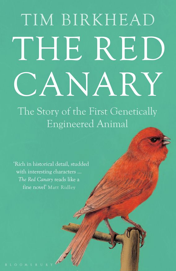 The Red Canary: The Story of the First Genetically Engineered Animal ...