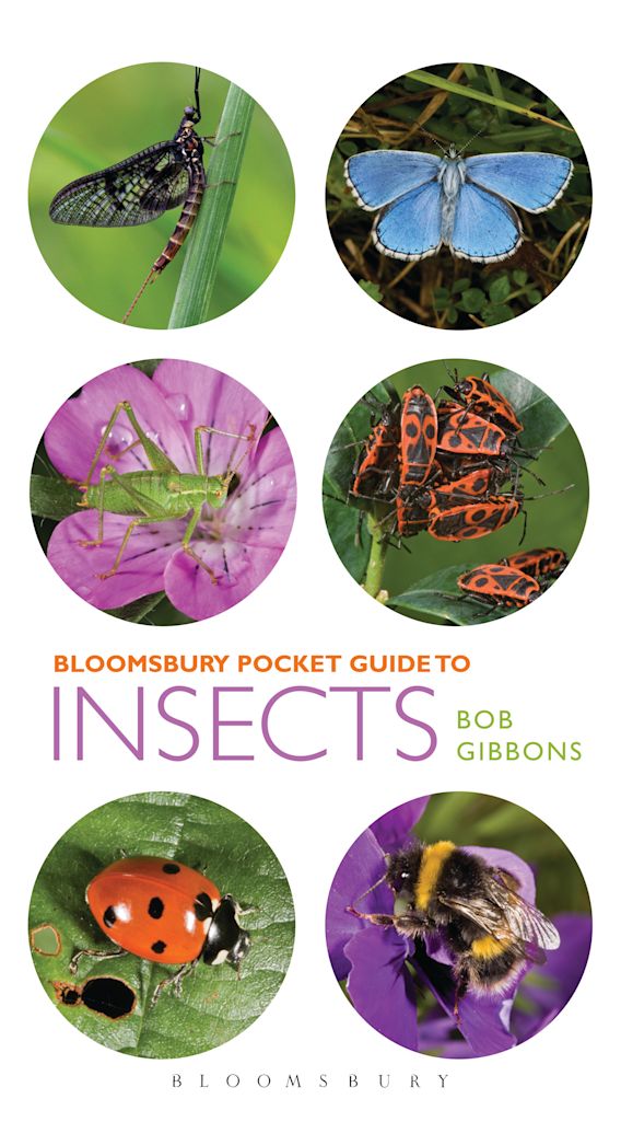 Pocket Guide to Insects: : Pocket Guides Bob Gibbons Bloomsbury Natural ...