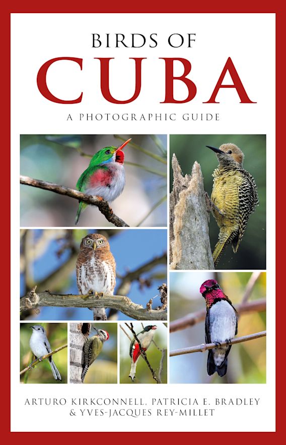 Photographic Guide to the Birds of Cuba: : Arturo Kirkconnell: Helm