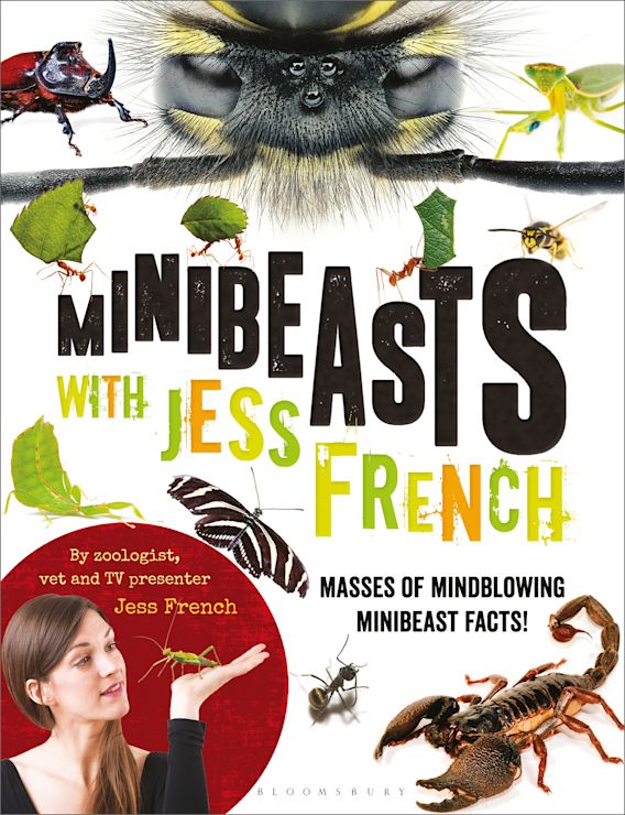 Minibeasts with Jess French: Masses of mindblowing minibeast facts ...