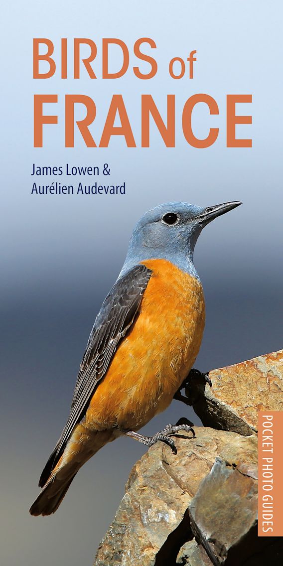 Birds of France: : Pocket Photo Guides James Lowen Bloomsbury Wildlife