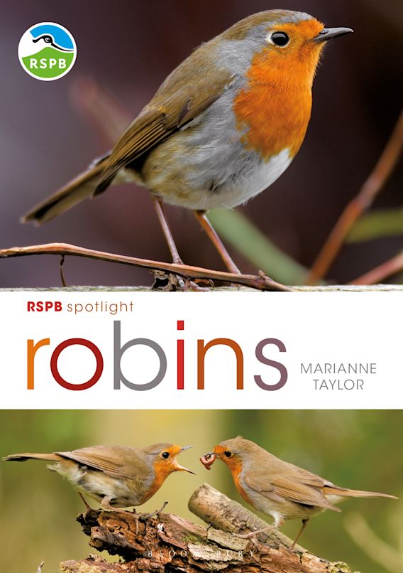 RSPB Spotlight: Robins: : RSPB Marianne Taylor Bloomsbury Wildlife