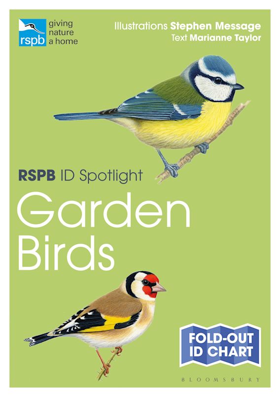 RSPB ID Spotlight – Garden Birds: : RSPB Marianne Taylor Bloomsbury ...