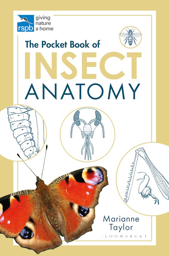 The Pocket Book of Insect Anatomy: : RSPB Marianne Taylor Bloomsbury ...
