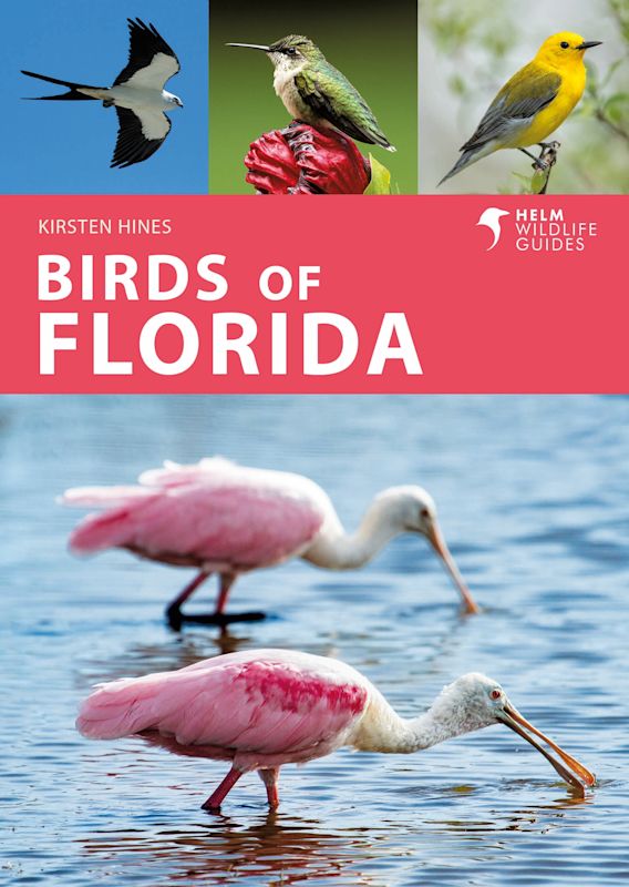 Birds of Florida: : Helm Wildlife Guides Kirsten Hines Helm