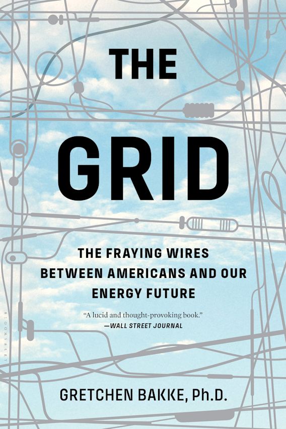 The Grid: The Fraying Wires Between Americans and Our Energy Future ...