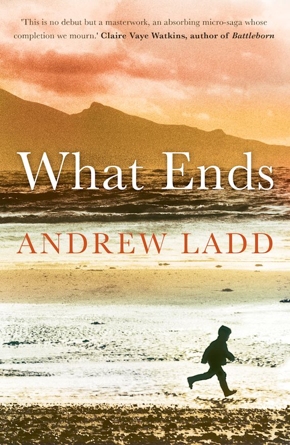 What Ends: : Andrew Ladd: Oneworld