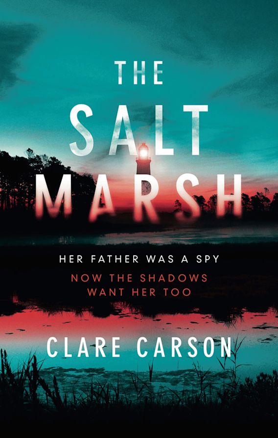 The Salt Marsh: : Sam Coyle Trilogy Clare Carson Head of Zeus