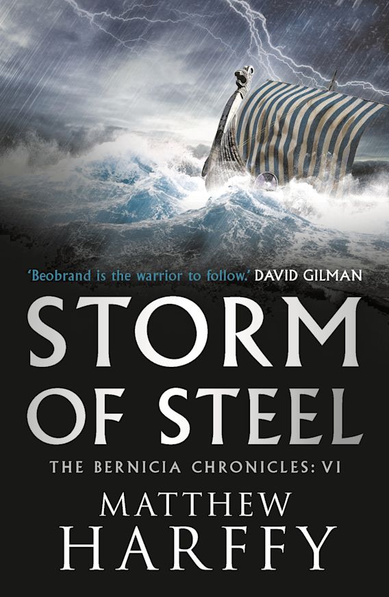 Storm of Steel: : The Bernicia Chronicles Matthew Harffy Head of Zeus ...