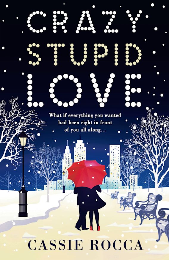 Crazy Stupid Love: A fun, feel-good romance: Blame It On New York ...