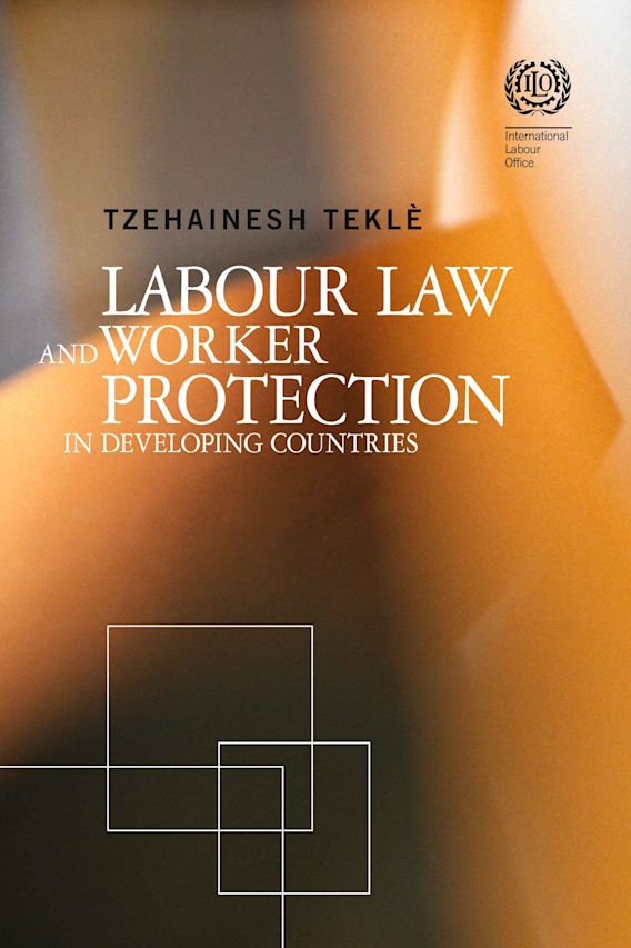 Labour Law and Worker Protection in Developing Countries: : Tzehainesh ...