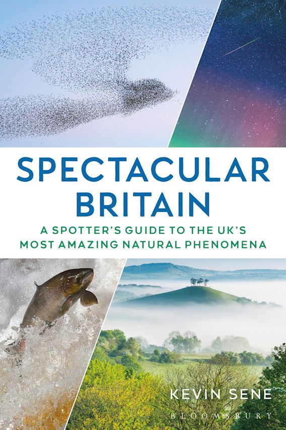Spectacular Britain: A spotter's guide to the UK’s most amazing natural ...