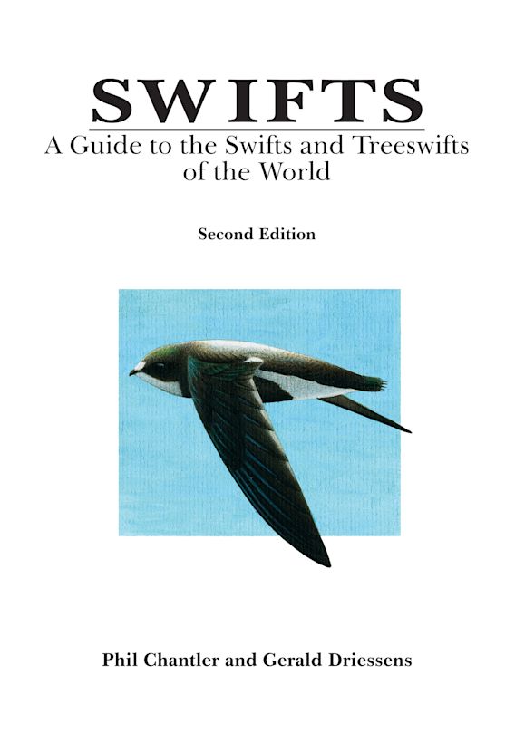 Swifts: A Guide to the Swifts and Treeswifts of the World: Helm ...