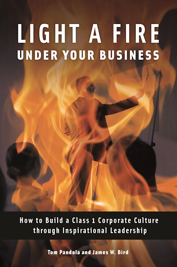 Light a Fire under Your Business: How to Build a Class 1 Corporate ...