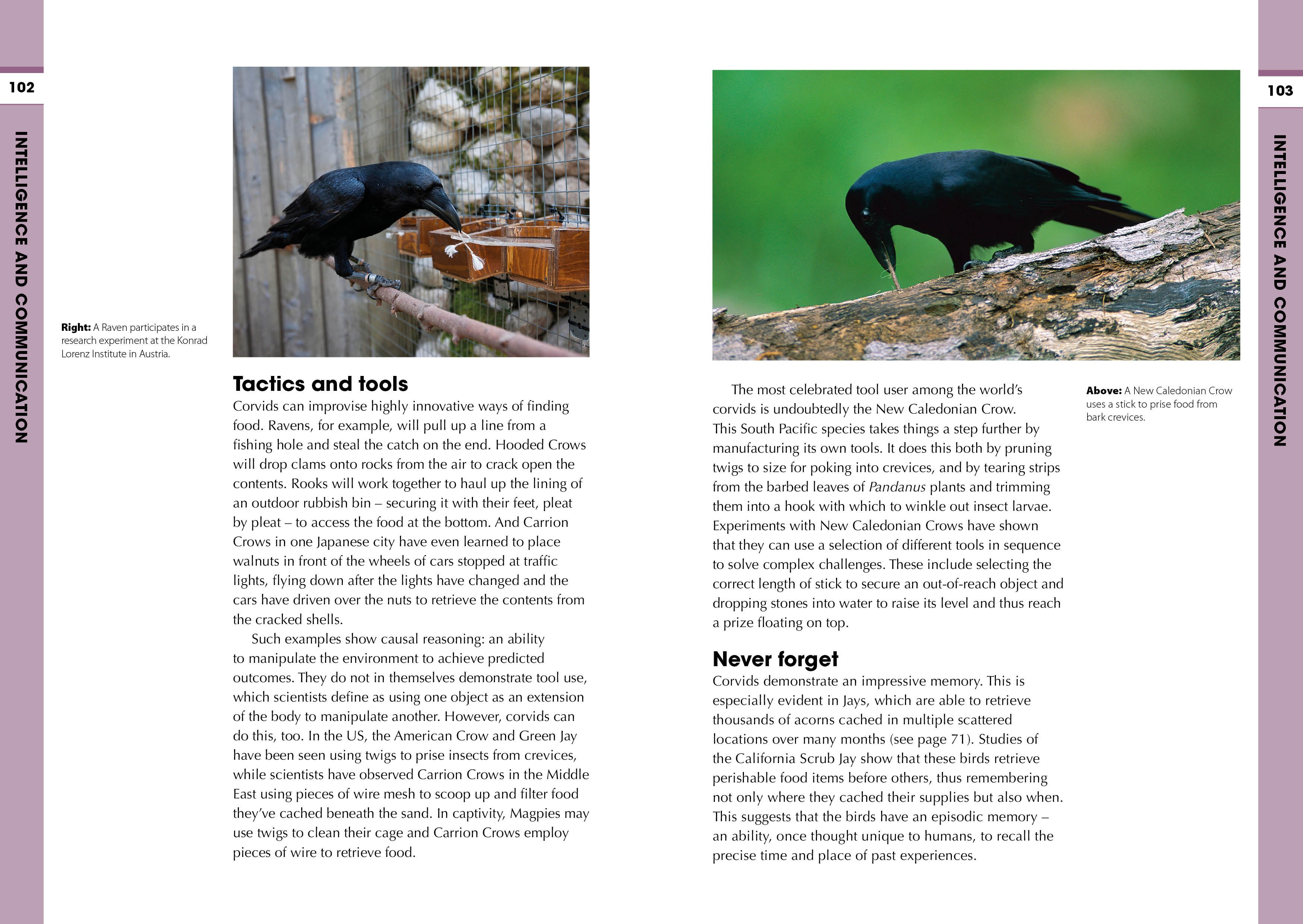 My Busy Books Fiction Board Books Books RSPB My First Book Of Garden ...