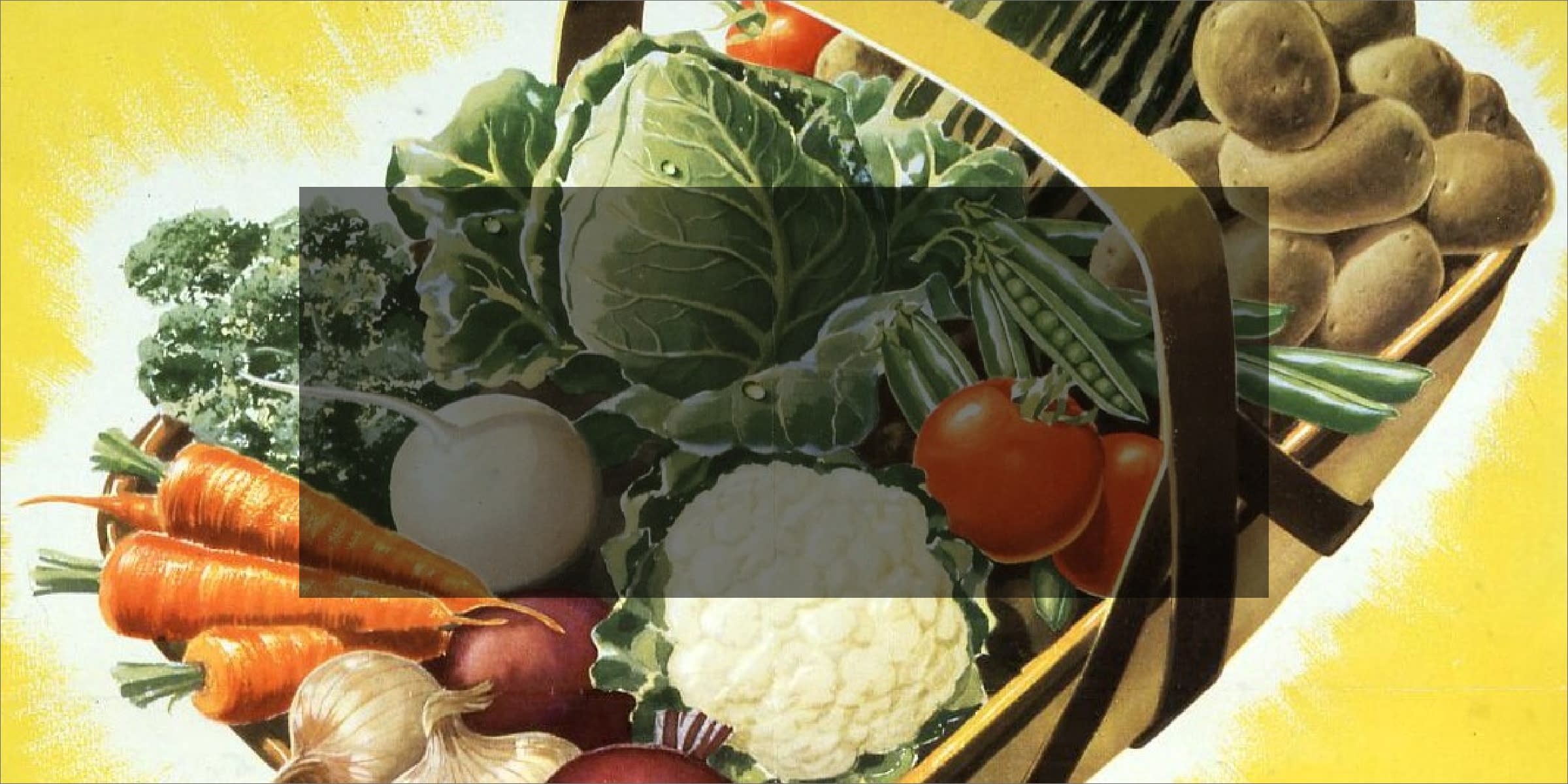 Bloomsbury Food Library - Home