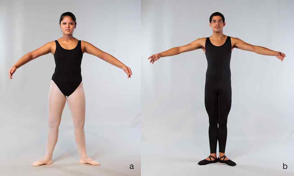 Human Kinetics Library Platform - Second Position of the Arms