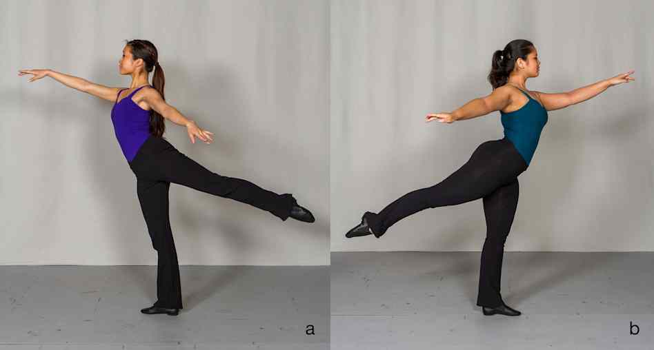 Human Kinetics Library Platform - Arabesque a/b