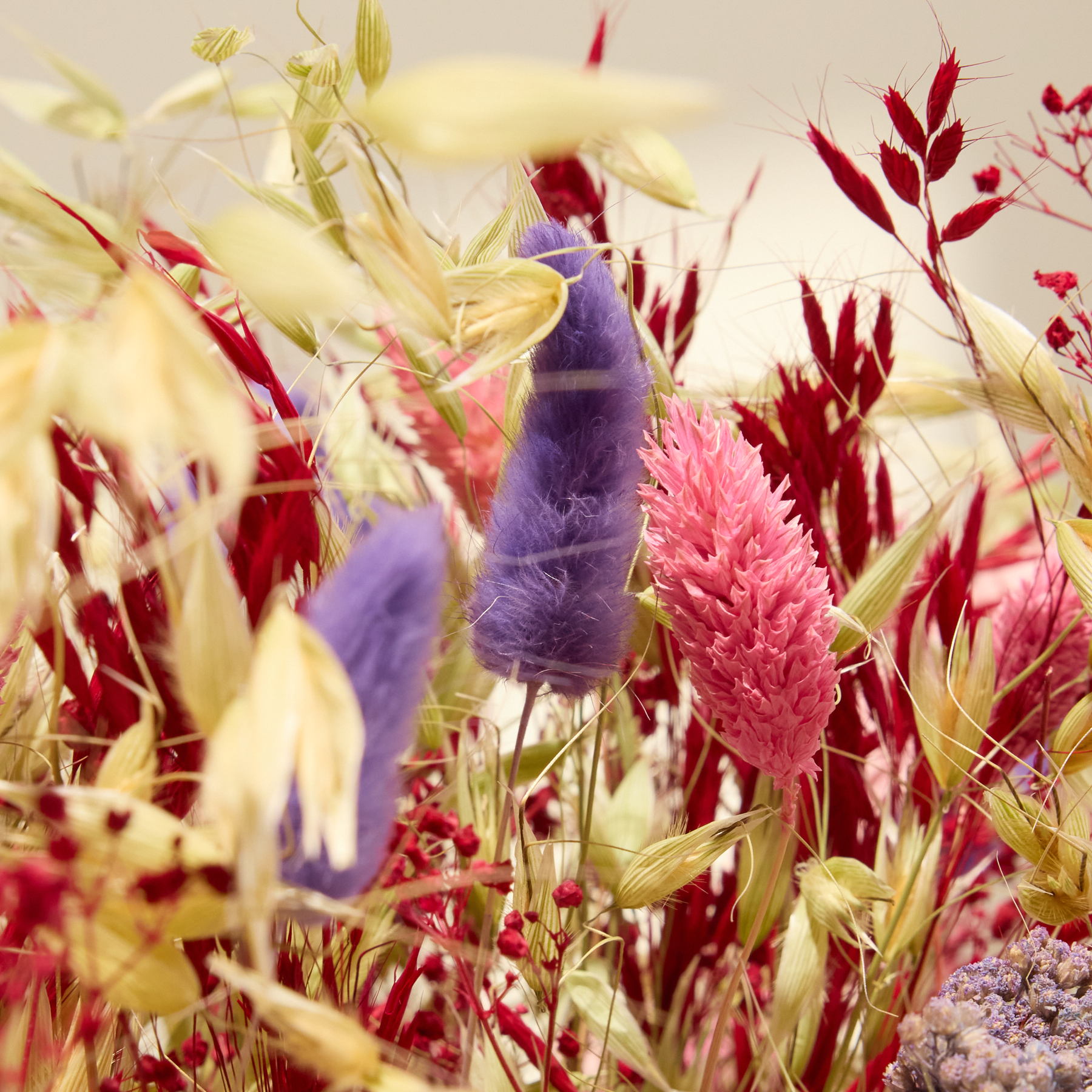 Trockenblumenstrauß Dancing Flowers