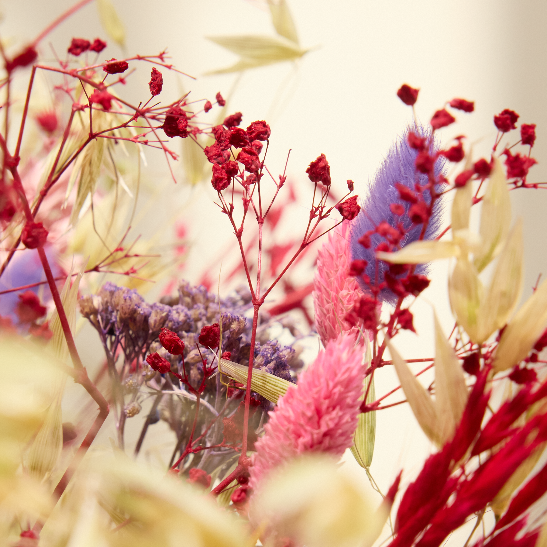 Trockenblumenstrauß Dancing Flowers