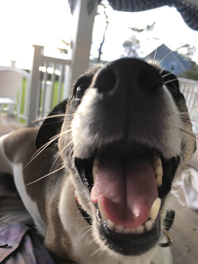 Someone is blocking your path!