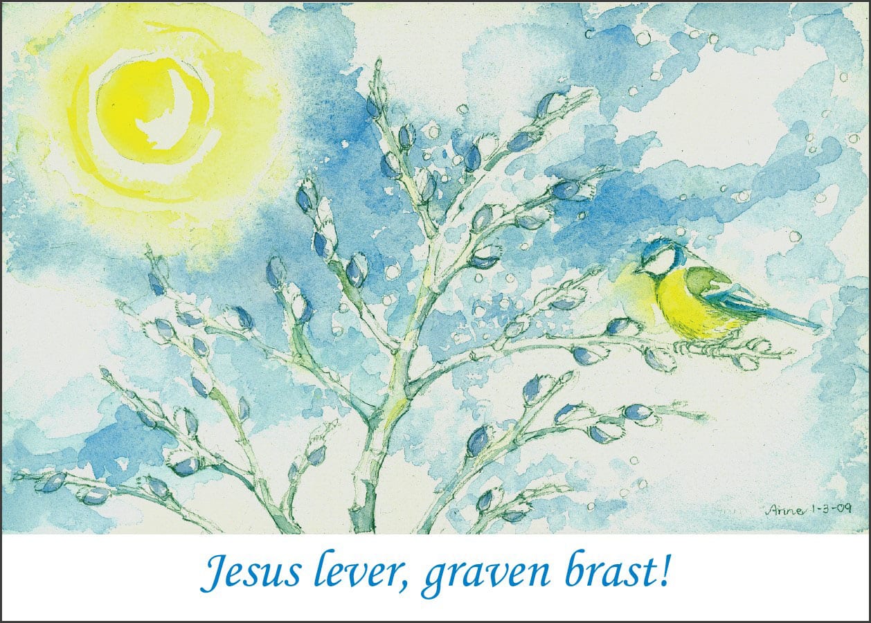 Salmekort påske: Jesus lever, graven brast Bok & Media