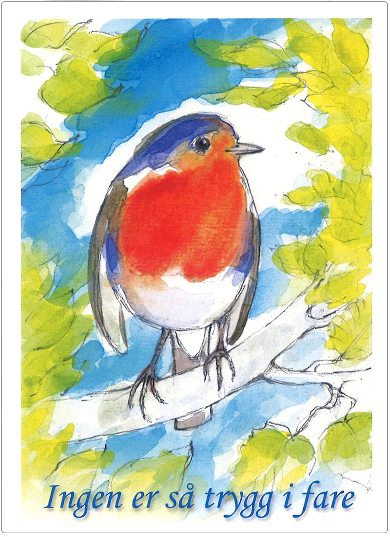 Salmekort vår: Ingen er så trygg i fare Bok & Media