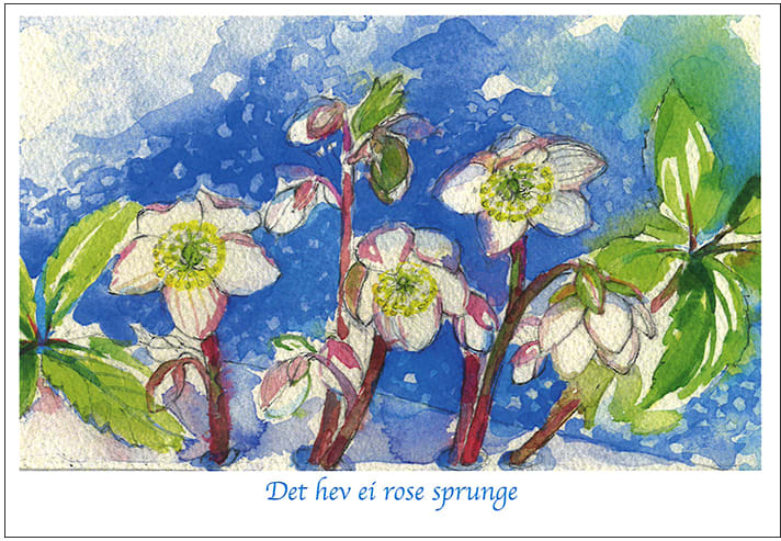 Salmekort jul: Det hev ei rose sprunge Bok & Media