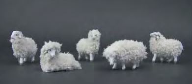 Sau med ull Bok & Media