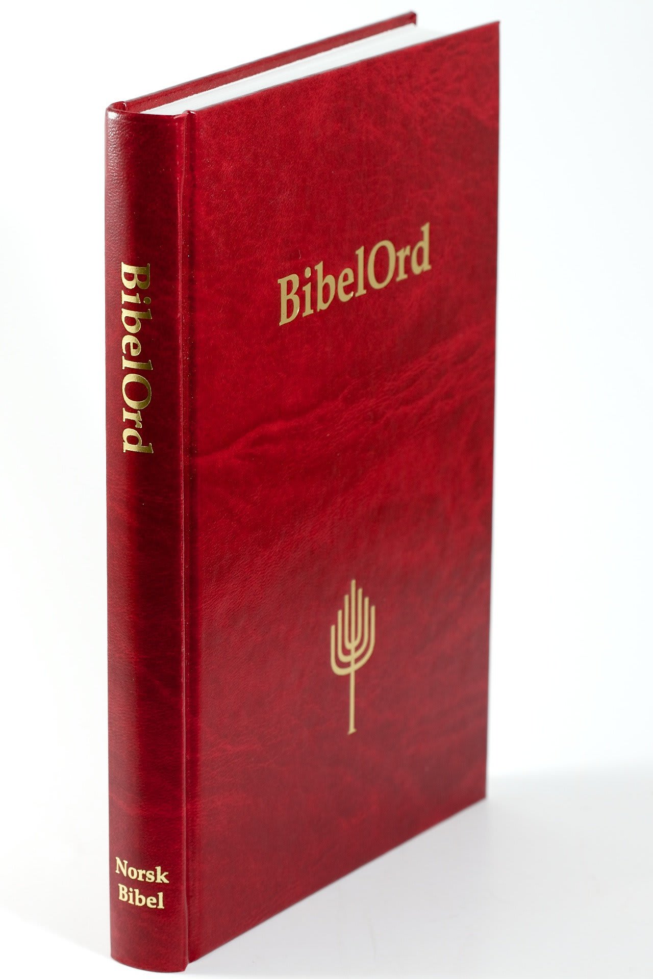 Bibelord : ord, navn og begreper i Den hellige skrift Bok & Media