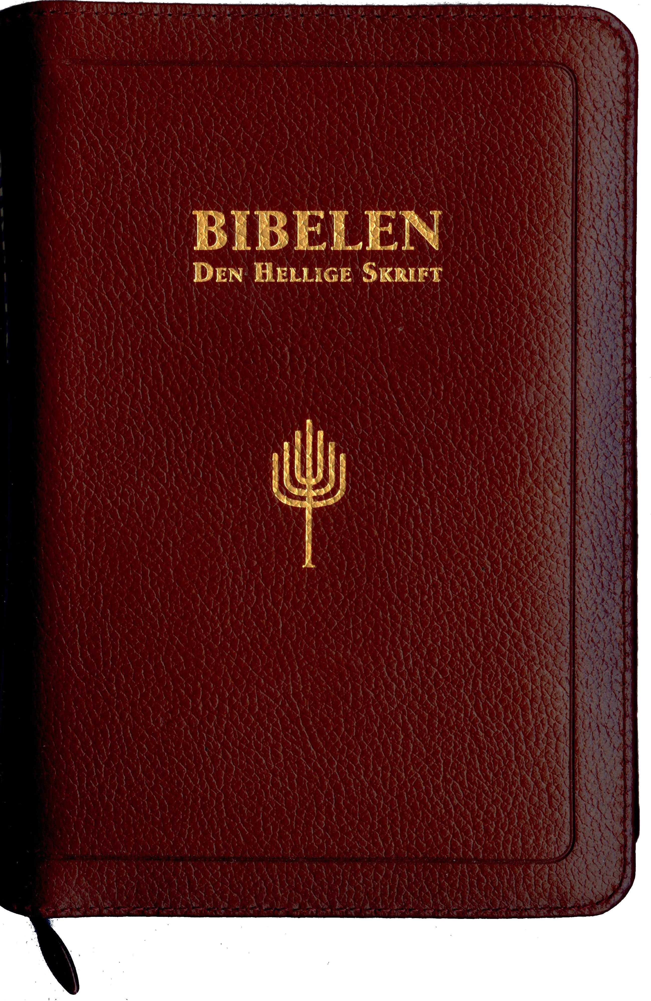 Bibelen Den hellige skrift liten skinn burgunder m/ glidelås - bokmål Bok & Media