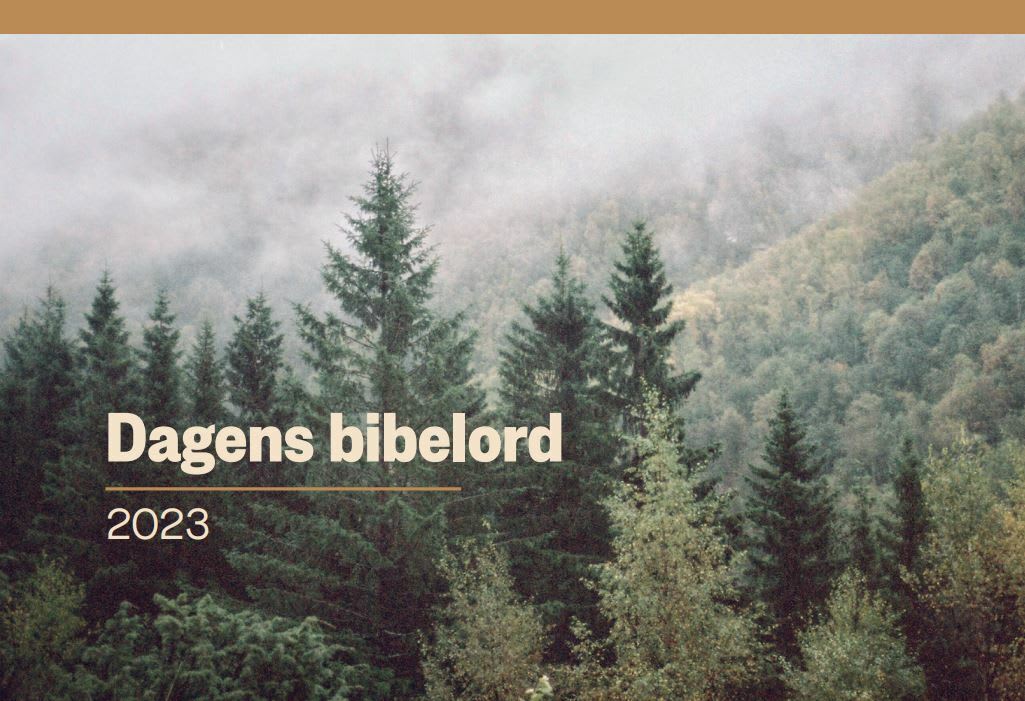 Dagens bibelord 2023 Bok & Media