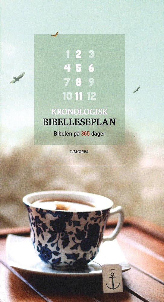 Kronologisk bibelleseplan : Bibelen på 365 dager Bok & Media