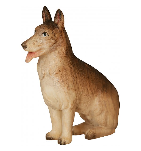 Gjeterhund - Morgenstjerne Bok & Media
